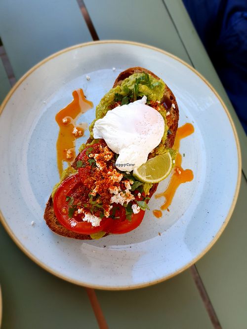 Little Fern - Barcelona Restaurant - HappyCow