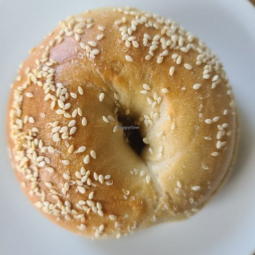 Starship Bagel - Lewisville Texas Bakery - HappyCow