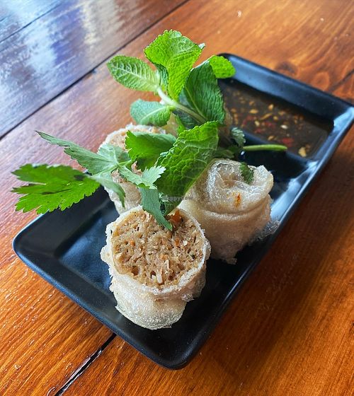 Bonsai Plant Kitchen - Brighton Restaurant - HappyCow