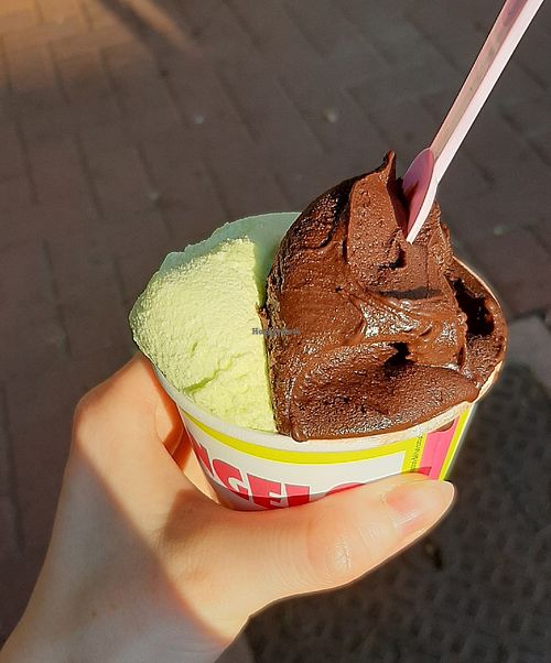 Dell'Angelo - Morazzone Ice Cream - HappyCow