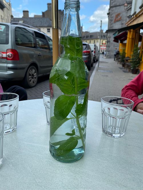 Cafe La Coco - Kilkenny Restaurant - HappyCow