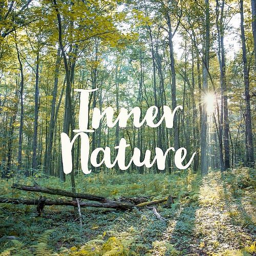 Inner Nature: A Sanctuary for Your Soul - Finksburg Maryland Other ...