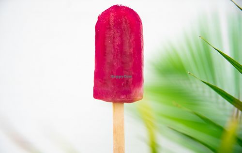 Tasty Toucan - Stevensville Maryland Ice Cream - HappyCow