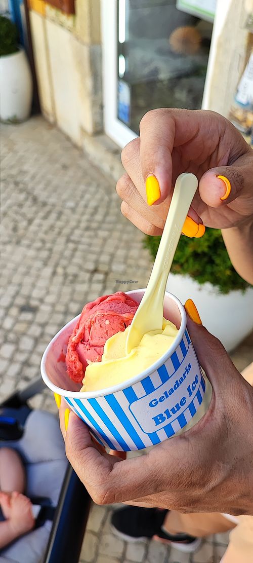 Sunset Bamboo Bar - Ericeira Restaurant - HappyCow