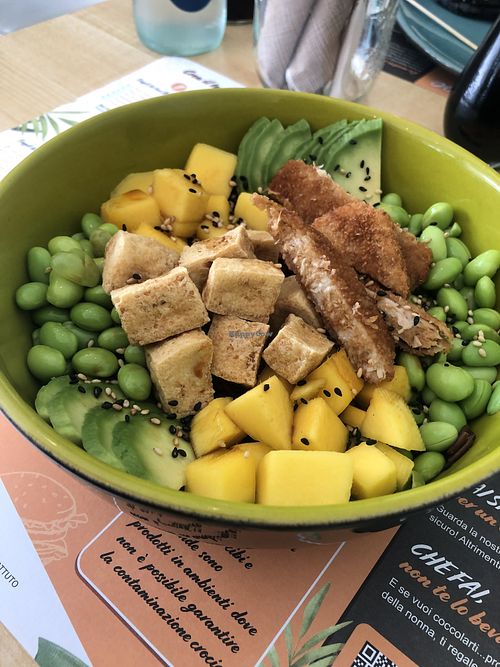 Queequeg Cafe - Biella | Review "Ottimo pranzo" by Mariotta - HappyCow