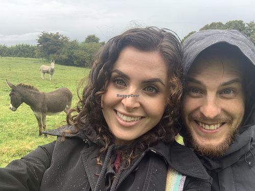 The Donkey Sanctuary - Mallow Organization - HappyCow