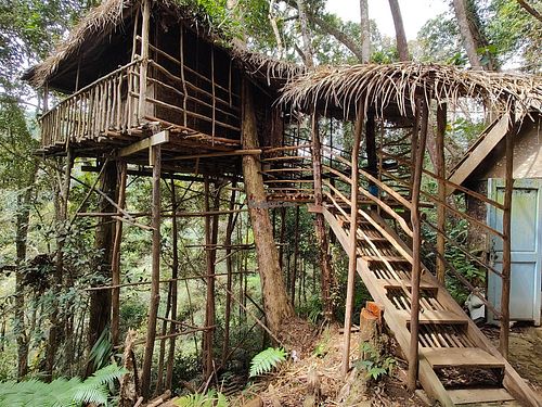 Terra Tree House - Brinchang B&B - HappyCow