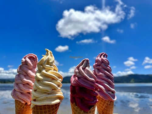 Rama's Real Fruit Ice Cream - Auckland Ice Cream - HappyCow
