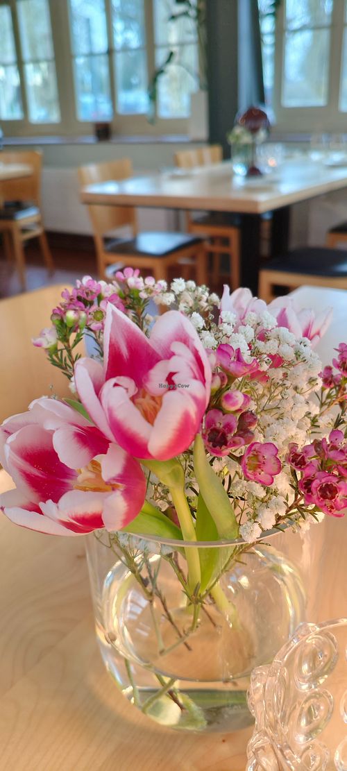 Villa Esche - Chemnitz Restaurant - HappyCow