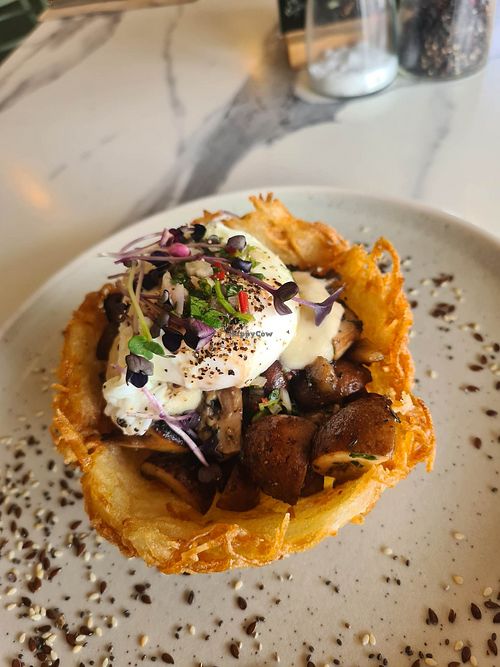 Little Mexico Tequila Bar - Beaconsfield Victoria Restaurant - HappyCow