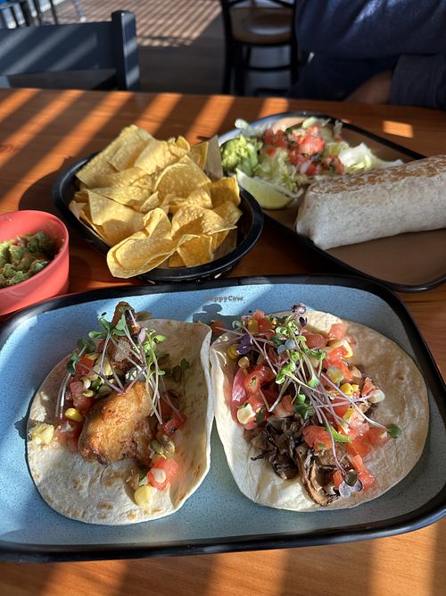 Social Taco - East Peoria Illinois Restaurant - HappyCow