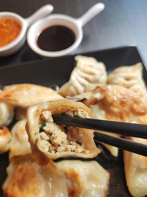 Good Dumplings - Belgrade Restaurant - HappyCow