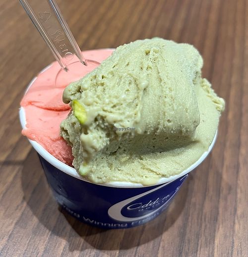Oddono's - South West London Ice Cream - HappyCow