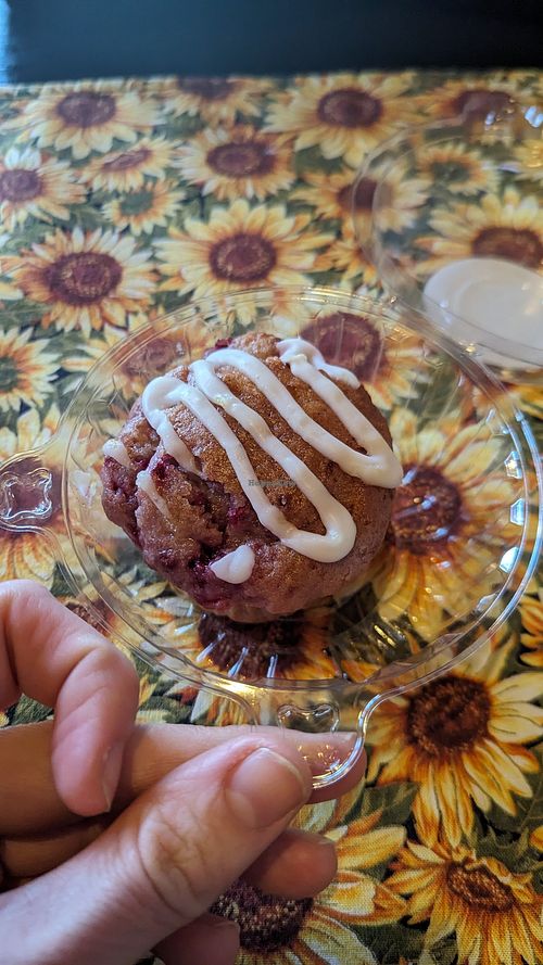 October Cafe - Chicago Illinois Coffee & Tea - HappyCow