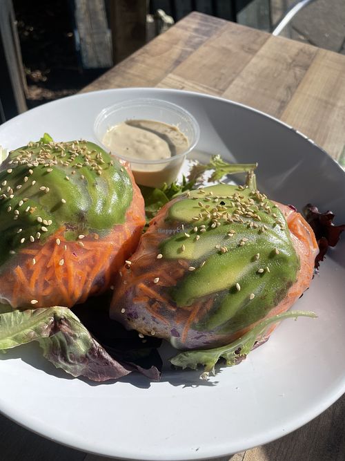 Shine Cafe - Morro Bay California Restaurant - HappyCow