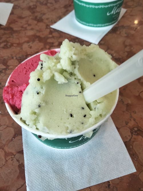 Mazzucco Gelateria - Wiesbaden Ice Cream - HappyCow