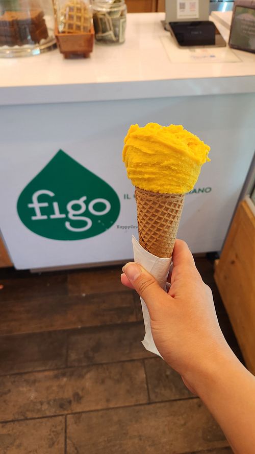 FIGO il Gelato Italiano - Astoria New York Ice Cream - HappyCow