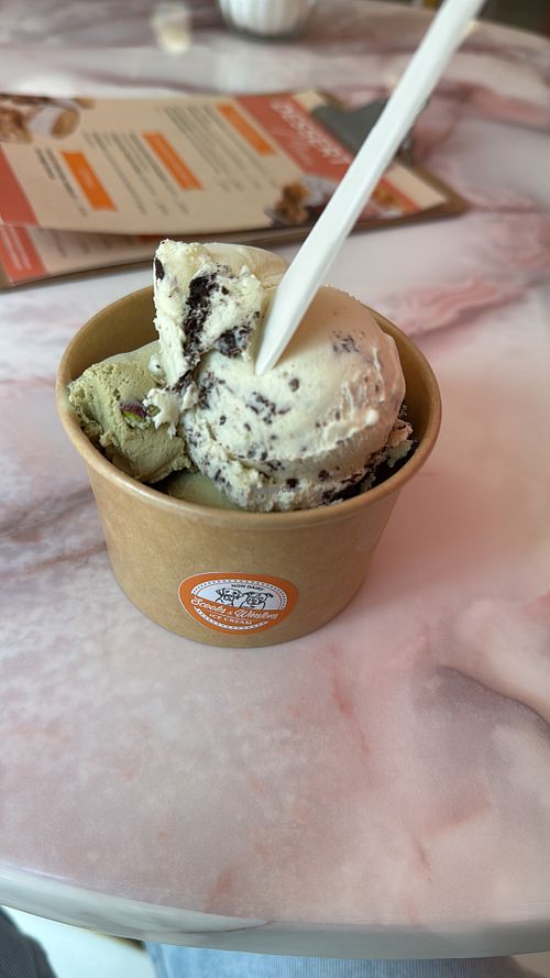 IJssalon Scoobs & Winstons - Alkmaar Ice Cream - HappyCow