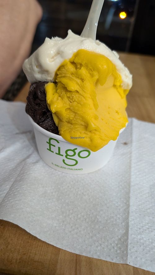 Figo il Gelato Italiano - New York City New York Ice Cream - HappyCow