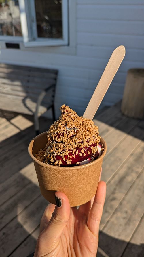 Saison Deli - Rimouski Quebec Ice Cream - HappyCow