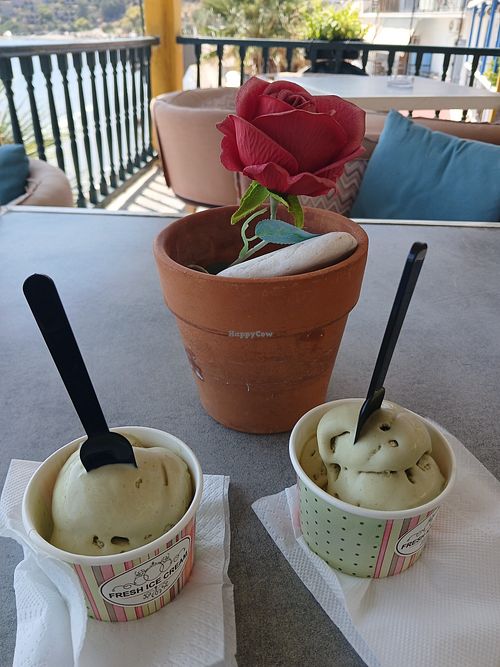 Dimitri's Corner Seaview - Aegina Ice Cream - HappyCow