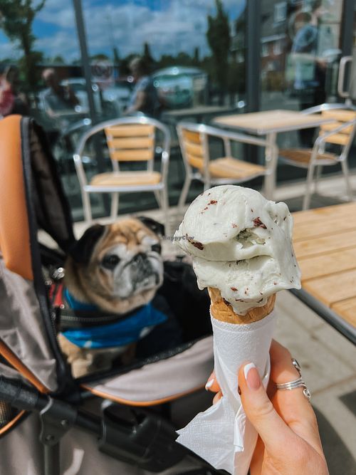 Great Gelato - Milton Keynes Ice Cream - HappyCow