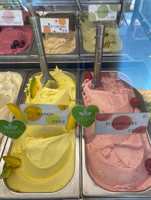 Gelato Factory Single Fin - Pecatu Bali Ice Cream - HappyCow