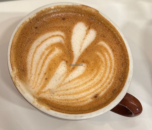 Soltane Café - Phoenixville Pennsylvania Coffee & Tea - HappyCow