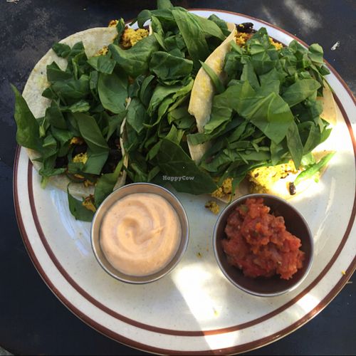 The Sentient Bean - Savannah Georgia Restaurant - HappyCow