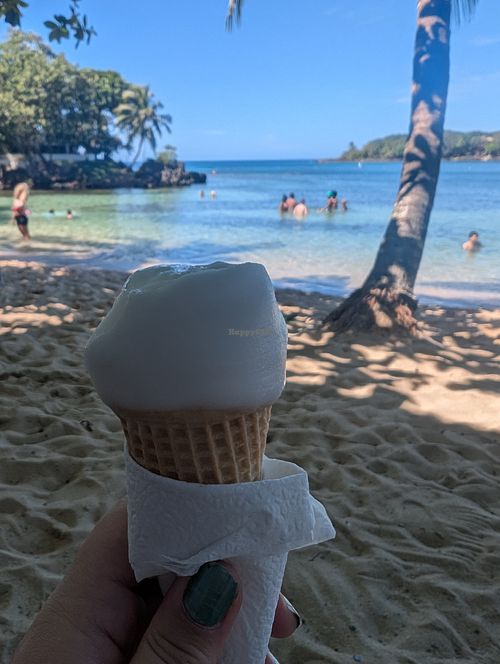Costa Dulce Roatan - Roatan Ice Cream - HappyCow