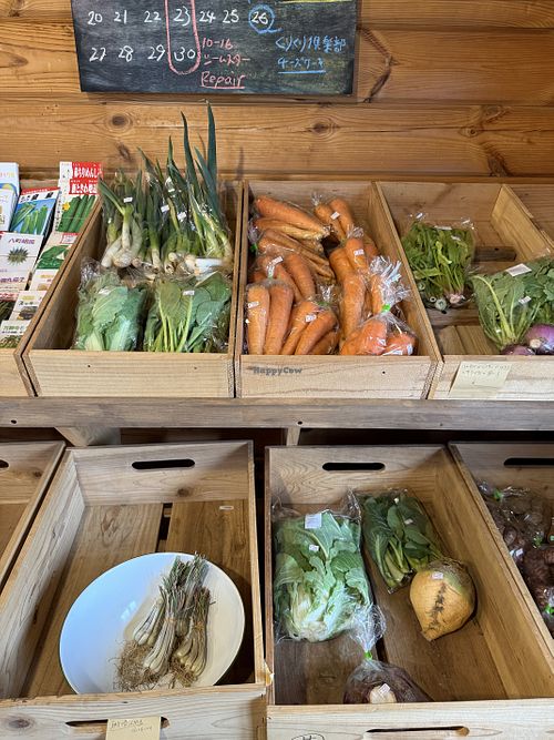 Eiyo foods - Hakuba Veg Store - HappyCow