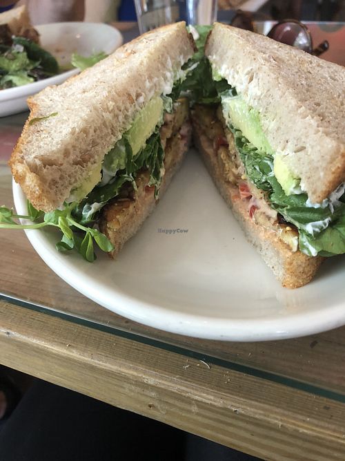 Seedz Cafe - St Louis Missouri Restaurant - HappyCow