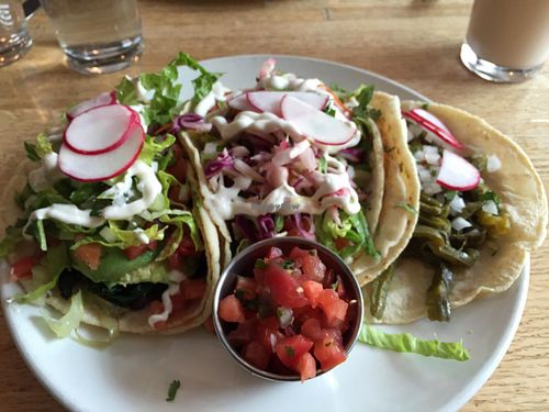 CLOSED: Taco Chulo - Brooklyn New York Restaurant - HappyCow