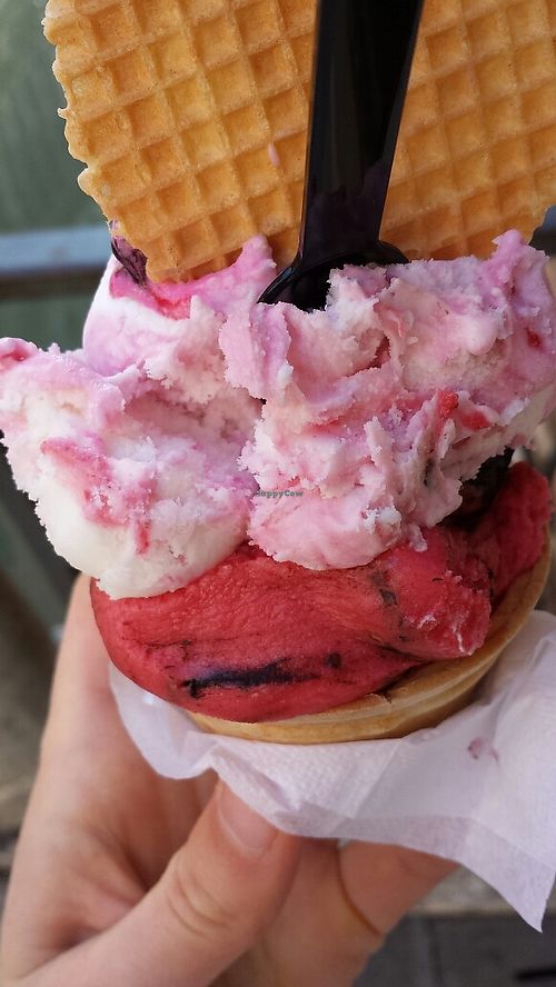 Gelatoteca SuSo - Venice Ice Cream - HappyCow