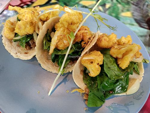 Karma - Jaco Restaurant - HappyCow