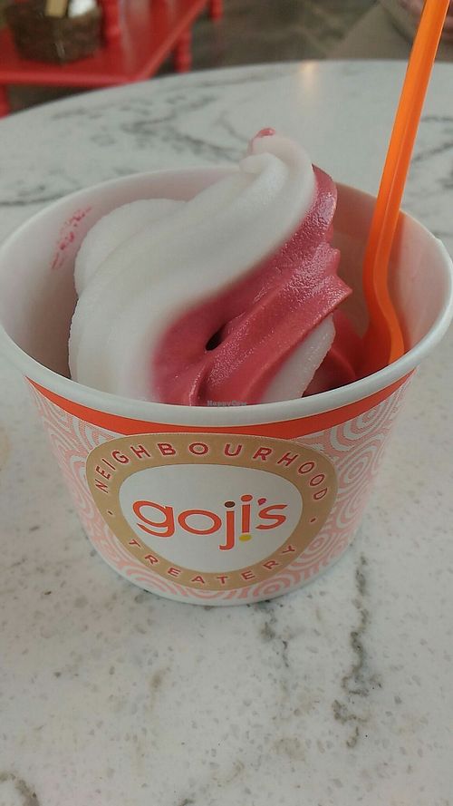 Goji's - Moncton New Brunswick Ice Cream - HappyCow