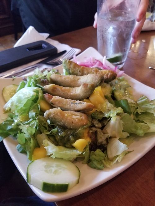 Vegan Restaurants in Springfield, Missouri, USA