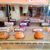 Pepples Donut Farm - Berkeley California Bakery - HappyCow