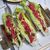Earthy Picks - Orlando Florida Restaurant - HappyCow