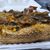 iCreate Cafe - Pottstown Pennsylvania Restaurant - HappyCow