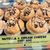 Unregular Bakery - New York City New York Bakery - HappyCow