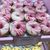 Whocult - Cardiff Bakery - HappyCow